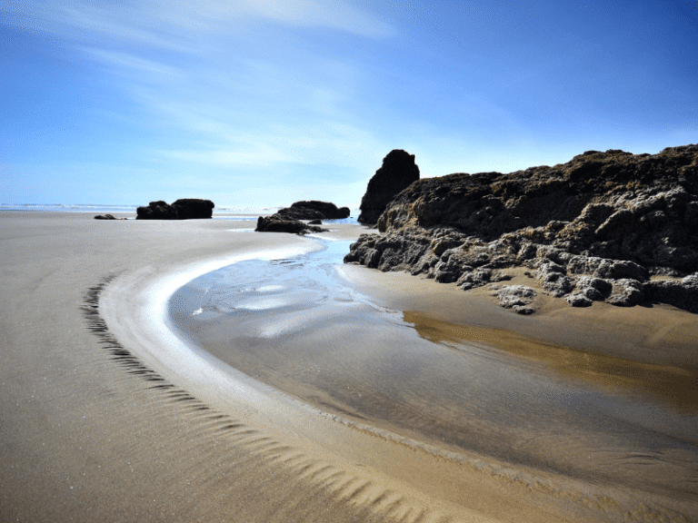 Why Does the Oregon Coast Have So Many Rocks? Unveiling the Abundance ...