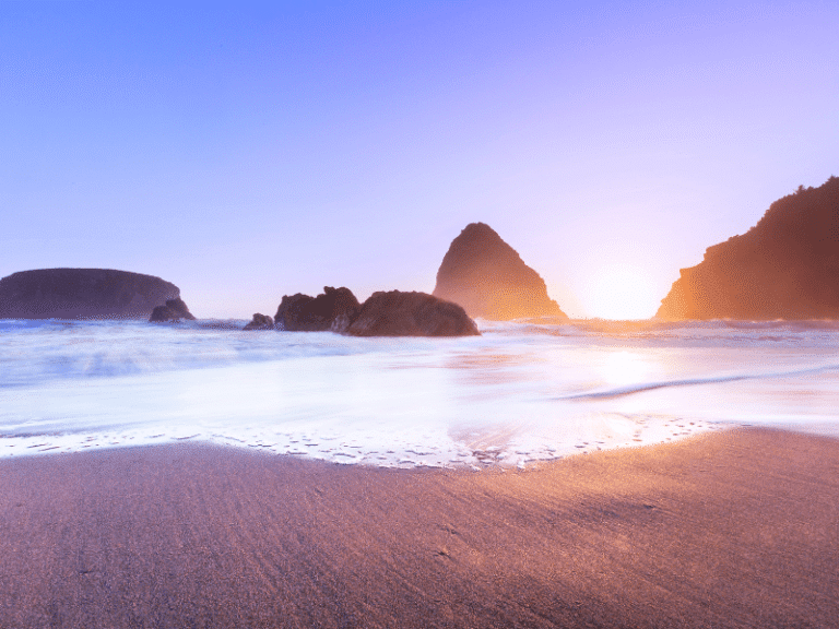 15 Fun Facts of the Mysterious Creatures: Sea Pickles - Oregon Coast ...