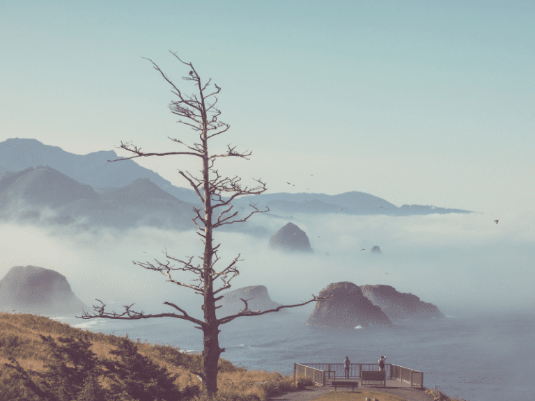 Haunted Horizons: Unleashing the Spooky Side of the Oregon Coast ...