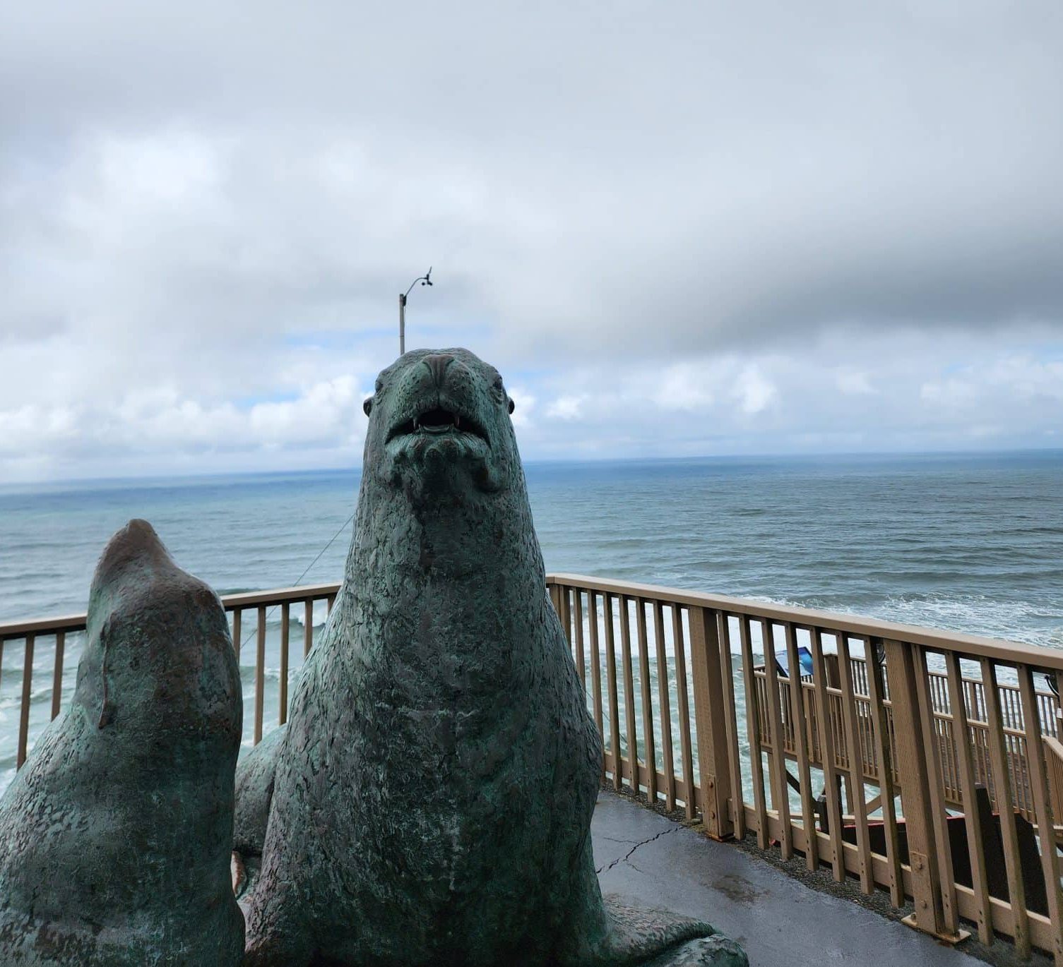 2025: Unveiling Oregon’s Stunning Sea Lion Caves - Oregon Coast Journey