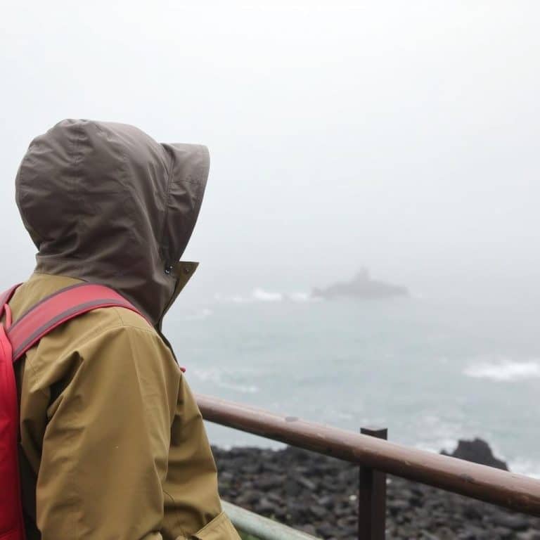 Oregon Coast Whale Watching Seasons: Best Times & Locations