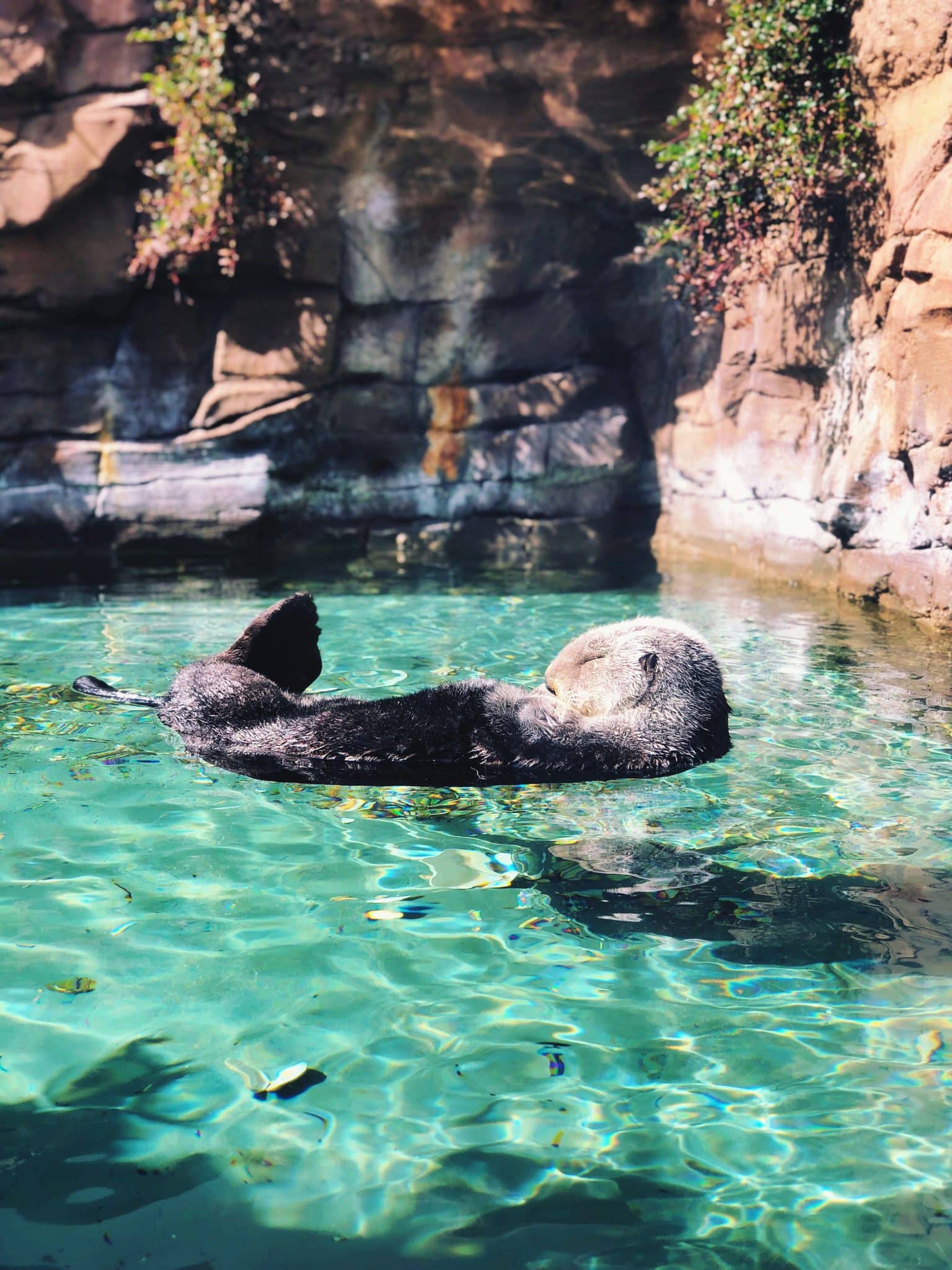 Ultimate Guide to Newport Aquarium Oregon: Exhibits, Tips & Nearby ...